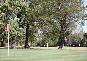 Golf Driving Range & Pro Shop in Spring Grove, IL - Pro Circle Golf Center
